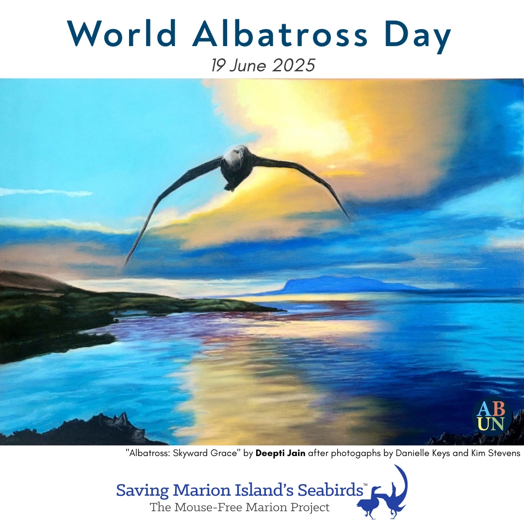 Agreement on the Conservation of Albatrosses and Petrels - The Mouse-Free Marion Project is ...