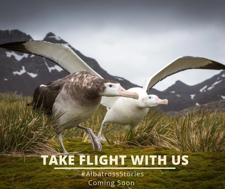 Agreement on the Conservation of Albatrosses and Petrels - ‘# ...